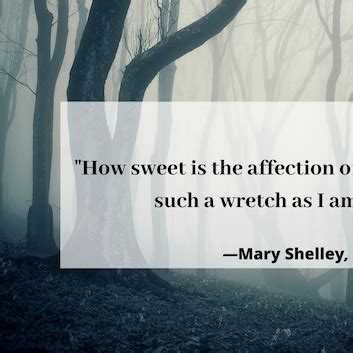 Frankenstein Exile Quotes Mary Shelleys Frankenstein The Most Iconic