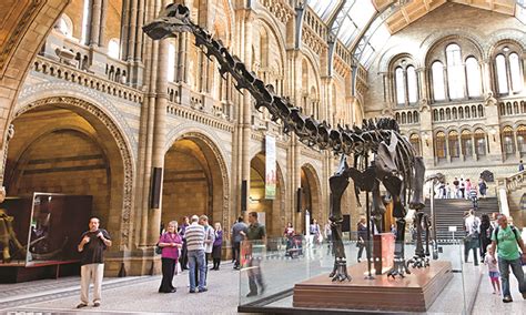 დინოზავრი დიპი სამოგზაუროდ მიდის კვირის პალიტრა