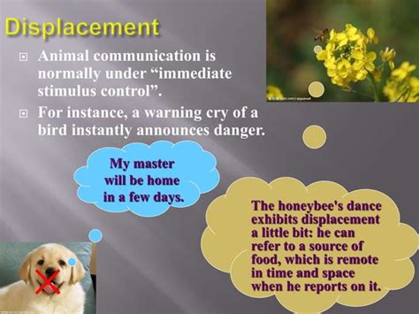 Introduction To Linguistics Lecture 1 Ppt