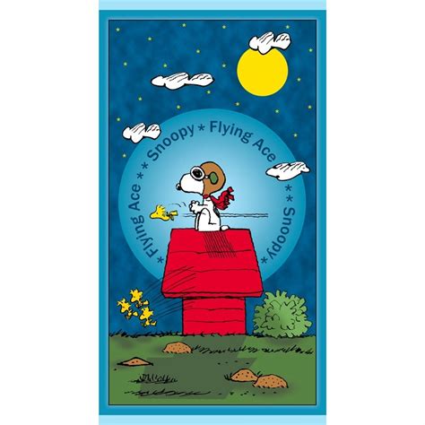 Snoopy Flying Ace Comic Strip