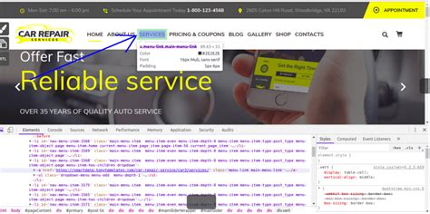 How To Modify Element Styles Of Your Theme SmartDataSoft