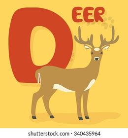 English Alphabet D Letter D Deer 스톡 벡터 로열티 프리 340435964 Shutterstock