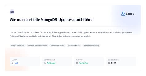 wie man partielle mongodb updates durchführt labex
