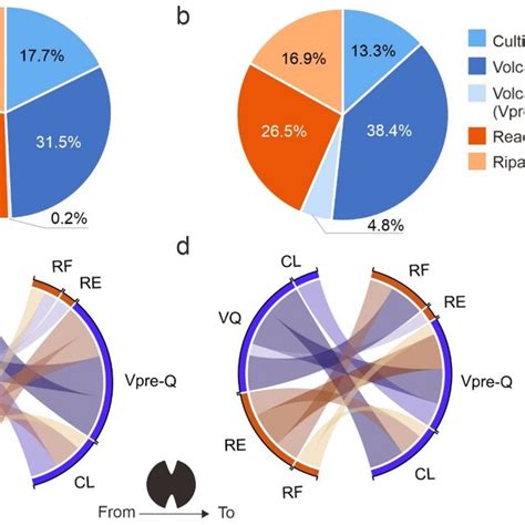 Relative Importance And Pair Wise Dominance Analysis Among