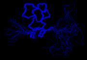 Categorynmr Structures Of Proteins Wikimedia Commons