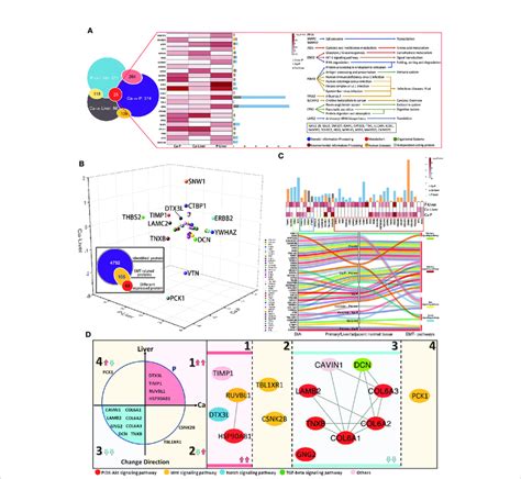 Emt Related Metastasis Core Kinesin And Structural Helper Proteins A