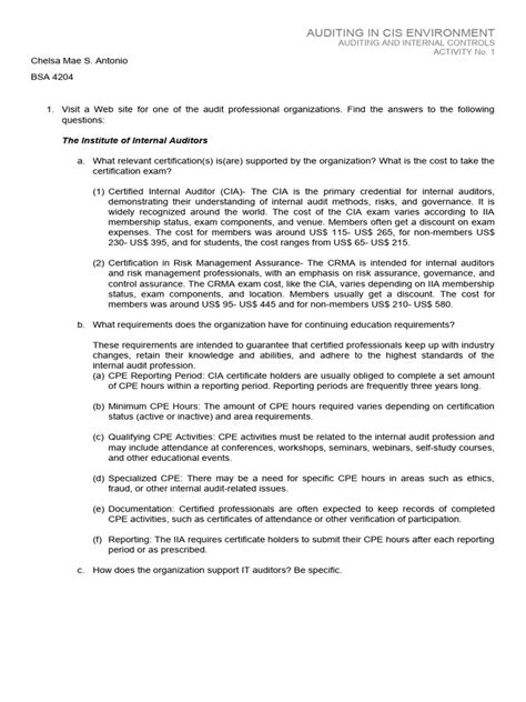 activity 1 auditing and internal controls pdf internal audit