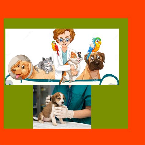 Sistema De Veterinaria Java Mysql Poo Codigo Fuente Sistemas En Php Mysql Java Y Codeigniter