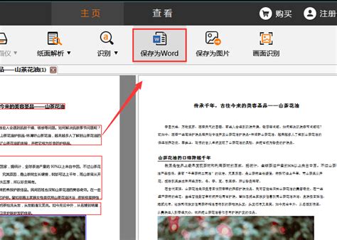 怎么把扫描的pdf图片文字转换成word