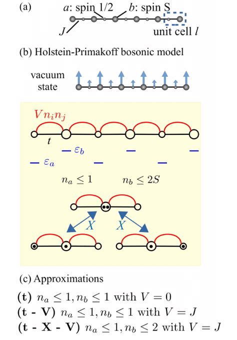 A Schematic Representation Of The Alternating Spin Model With