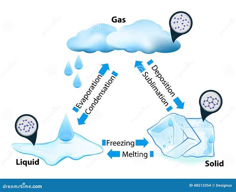 Matter Cycle Stock Illustrations 252 Matter Cycle Stock Illustrations