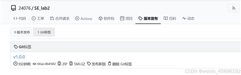 使用 Gitea 搭建 Git 仓库托管平台 Csdn博客