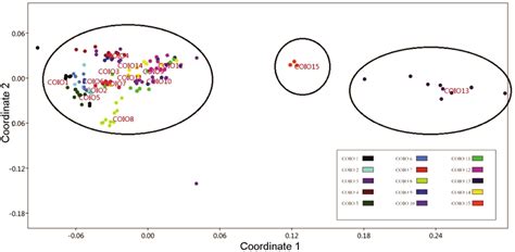 Non Metric Multidimensional Scaling Nmds Plot Using Euclidean