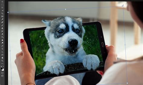 How To Make 3d Pop Out Effect In Photoshop In 4 Simple Steps Schenectady Photographic Society