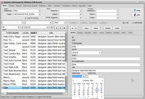 database designer for windows designer data field date