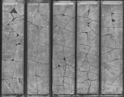 Test Fragments Manually Re Assembled Download Scientific Diagram