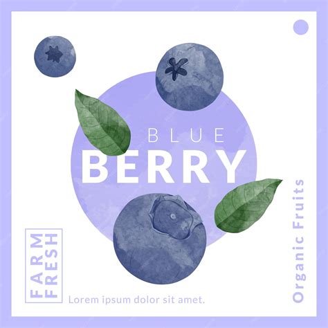 Premium Vector Blue Berry Packaging Design Templates Watercolour