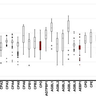 A History Of Gene Duplication Is Shown By Protein Sequence Download Scientific Diagram