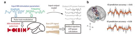 Modelling And Prediction Of The Dynamic Responses Of Large Scale Brain Networks During Direct