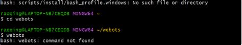 compile webots from source can not lancher webots · issue 4510