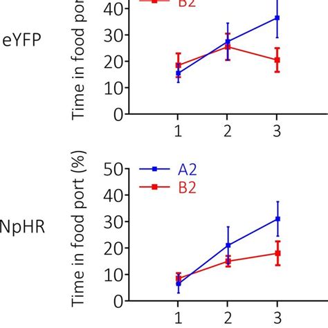 Responding During Conditioning In The Second Order Conditioning