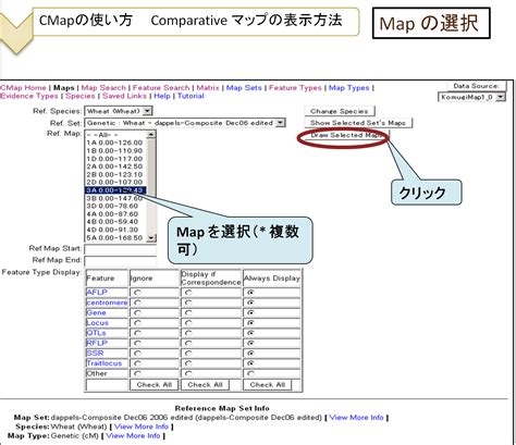Cmap 操作方法