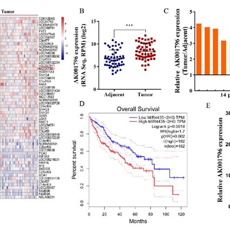 Lncrna Ak001796 Is Up Regulated In Human Hcc A Hierarchical Cluster Download Scientific