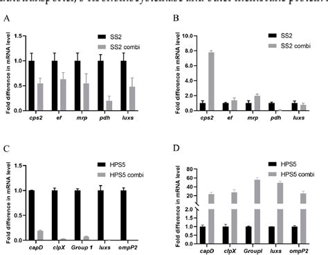 Figure 5 From Modeling Co Infection By Streptococcus Suis And Haemophilus Parasuis Reveals