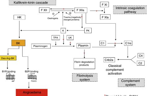 Hereditary Angioedema