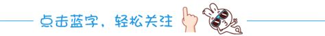Nginx 连接被重置这些 Nginx 常见异常,帮你快速定位故障 Csdn博客 Nginx 连接被重置这些 Nginx 常见异常,帮你快速定位故障 Csdn博客