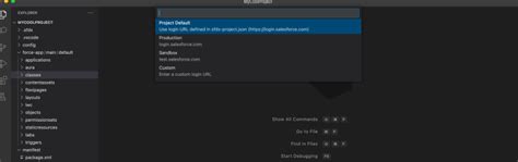 using vs code ide for salesforce salesforceblue
