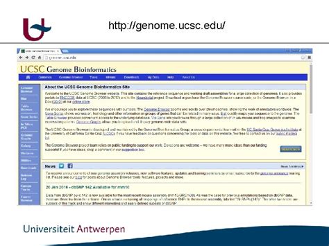 Data Mining Data Mining Sequence Information Mapping Information
