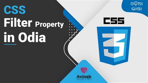 Css Filter A Beginners Guide In Odia Part 13 Youtube