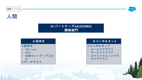 Salesforceのコンサルティングおよび開発 Sy Partners