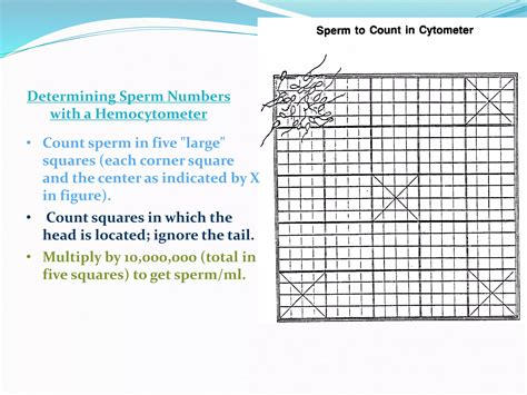 Sperm Count Pptx Infertility Reproductive Health