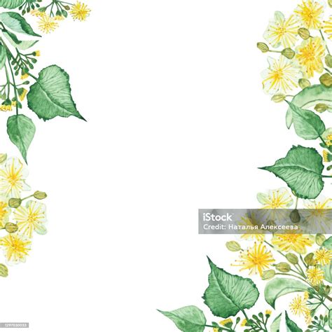 수채화 손 은 초대 및 인사말 카드에 대한 흰색 배경에 분기 꽃다발에 노란 꽃 싹과 녹색 잎자연 허브 식물 테두리 프레임
