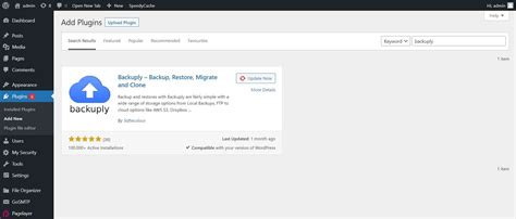 Easy Backup And Restore With Backuply In Wordpress Backuply