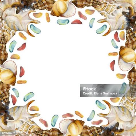 손으로 그린 수채화 나선형 진주 갈색과 금색 바다 조개 불가사리 정사각형 테두리 프레임입니다 흰색 배경에 격리 벽 예술 결혼식 인쇄 직물 표지 카드 관광 여행 책자 개체