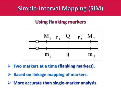 Quantitative Trait Loci Qtl Analysis And Its Applications In Plant Breeding Pdf