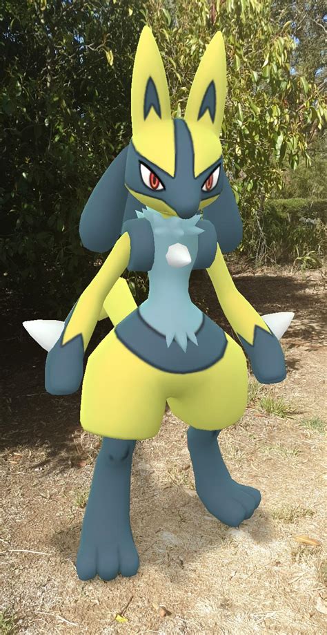 Shiny Riolu And Lucario