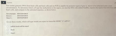 Solved 34 ﻿pointsYou isolate genomic DNA from brain cells | Chegg.com