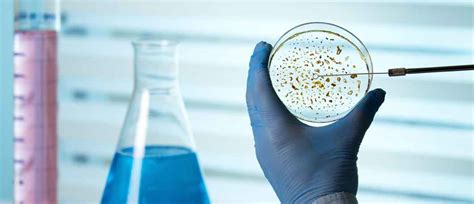 Skills You Need To Be A Biomedical Engineer Mentoria