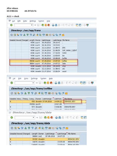 abap copy program via request pdf