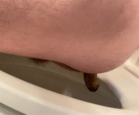 Side View Curvy Logs ThisVid Com