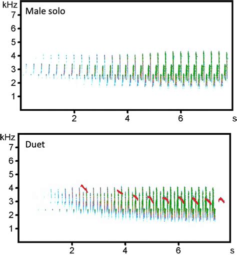 Spectrograms Showing Male Solo Song And Duet Males Repeat Identical