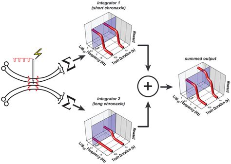 The Dual Integrator Model Only The Components That Differ From Those Download Scientific
