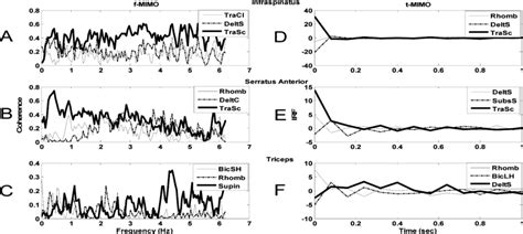 Frequency Domain Partial Coherence Functions And Impulse Response Download Scientific Diagram