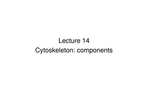 PPT Lecture 14 Cytoskeleton Components PowerPoint Presentation Free Download ID 661901