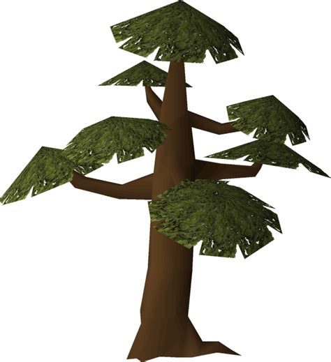 Fileyew Tree February 2005png The Runescape Wiki