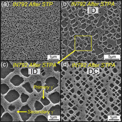 A Microstructure Of As Received Ar Hastelloy X B Effect Of Download Scientific Diagram